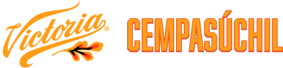 Descubre nuestras campañas oficiales | Cerveza Victoria